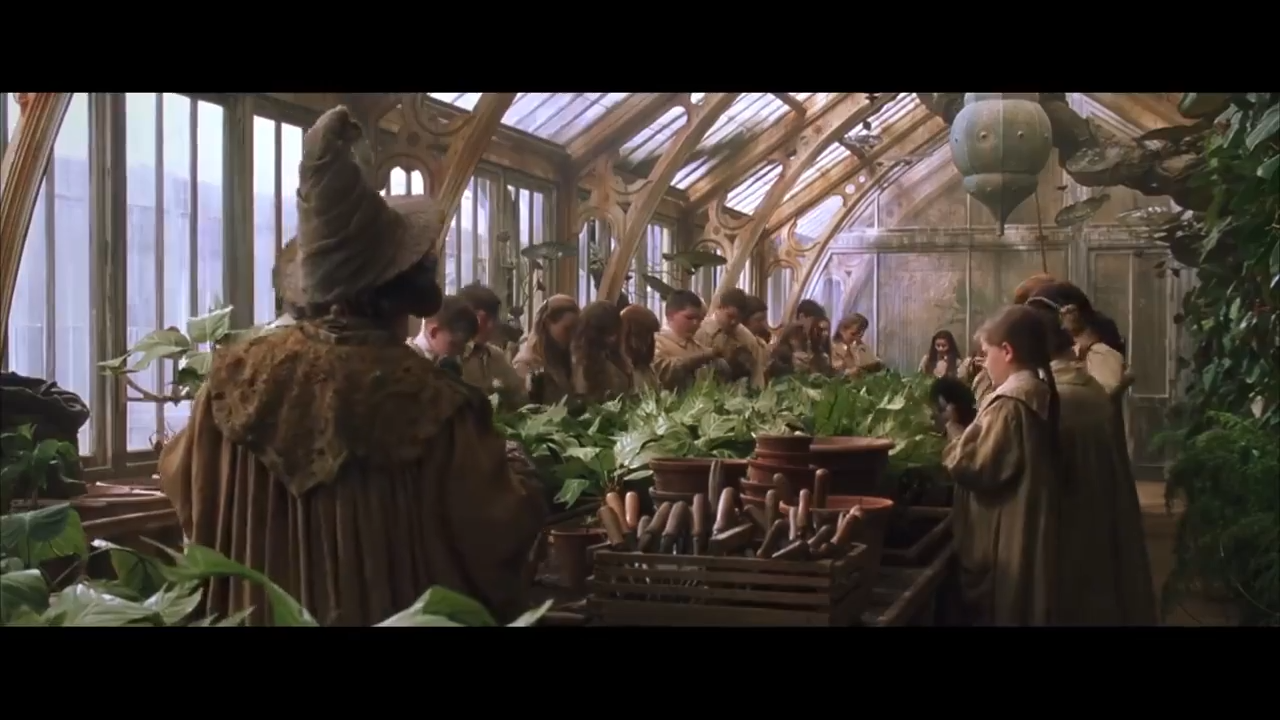 Mandrake Potting _ Harry Potter and the Chamber of Secrets-英语趣配音
